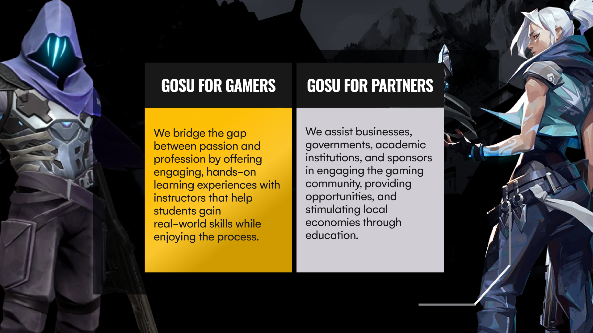 Partnered Programs – Gosu Academy